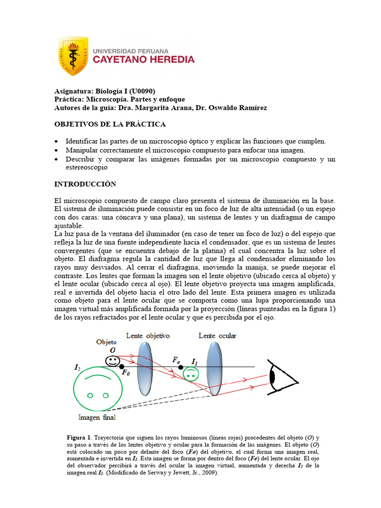 Microscopia. Partes y Enfoque BioI 2024-II Guía | PDF | Lente de la ...