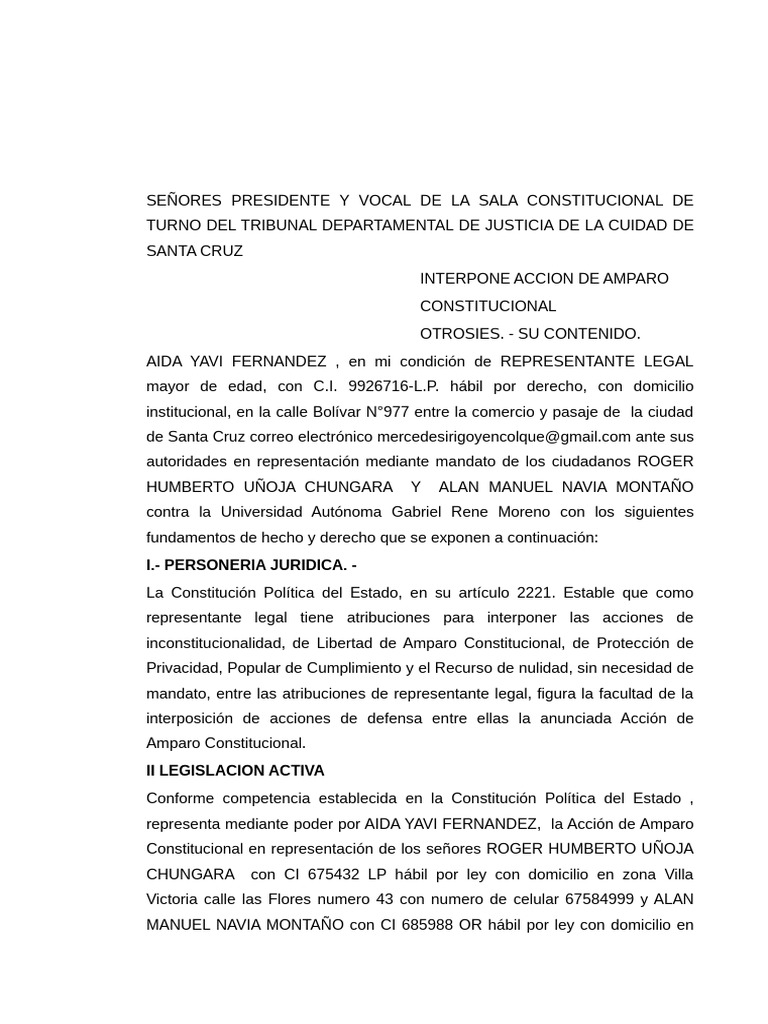 Acción de Amparo Constitucional en Santa Cruz | PDF | Debido al proceso ...