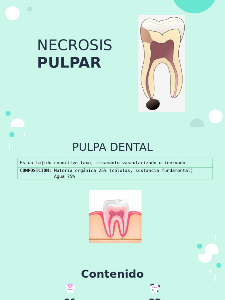 Necrosis Pulpar | PDF | Ciencias de la Salud | Enfermedades y trastornos