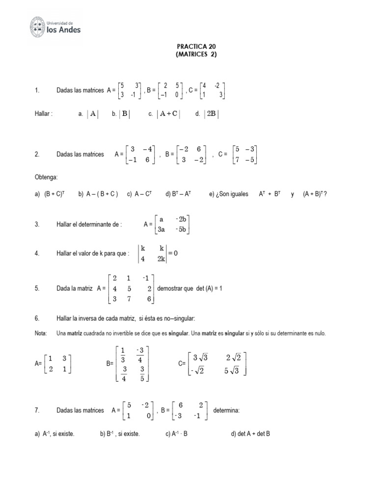 Ejercicios de Matrices y Determinantes | PDF | Matriz (Matemáticas ...