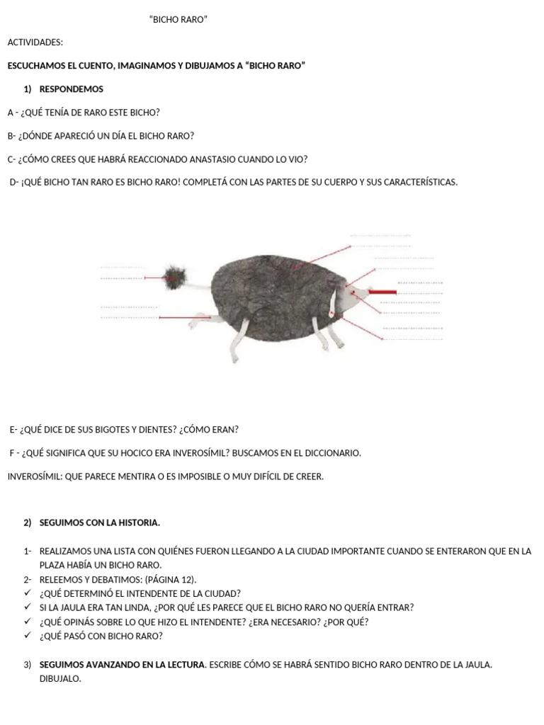 Actividades Bicho Raro | PDF
