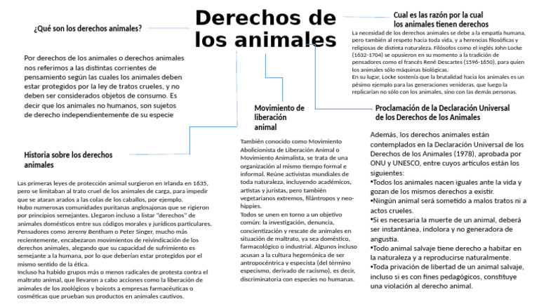 Derechos de Los Animales | PDF | Derechos animales | Justicia