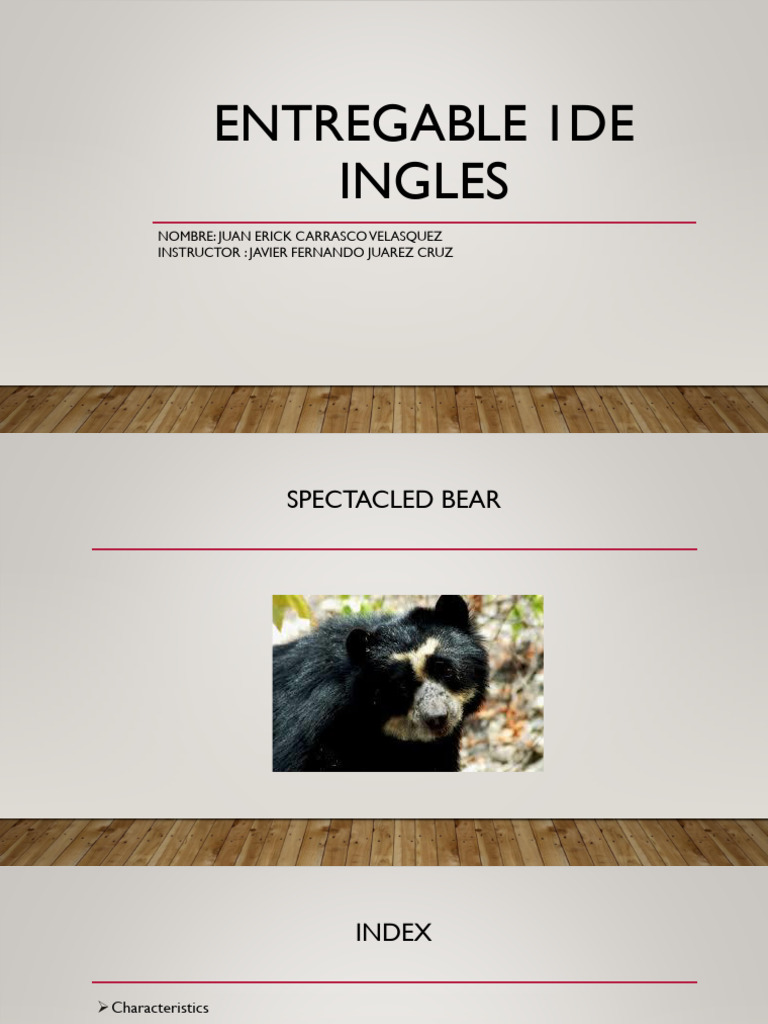 Entregable 1de ingles | PDF