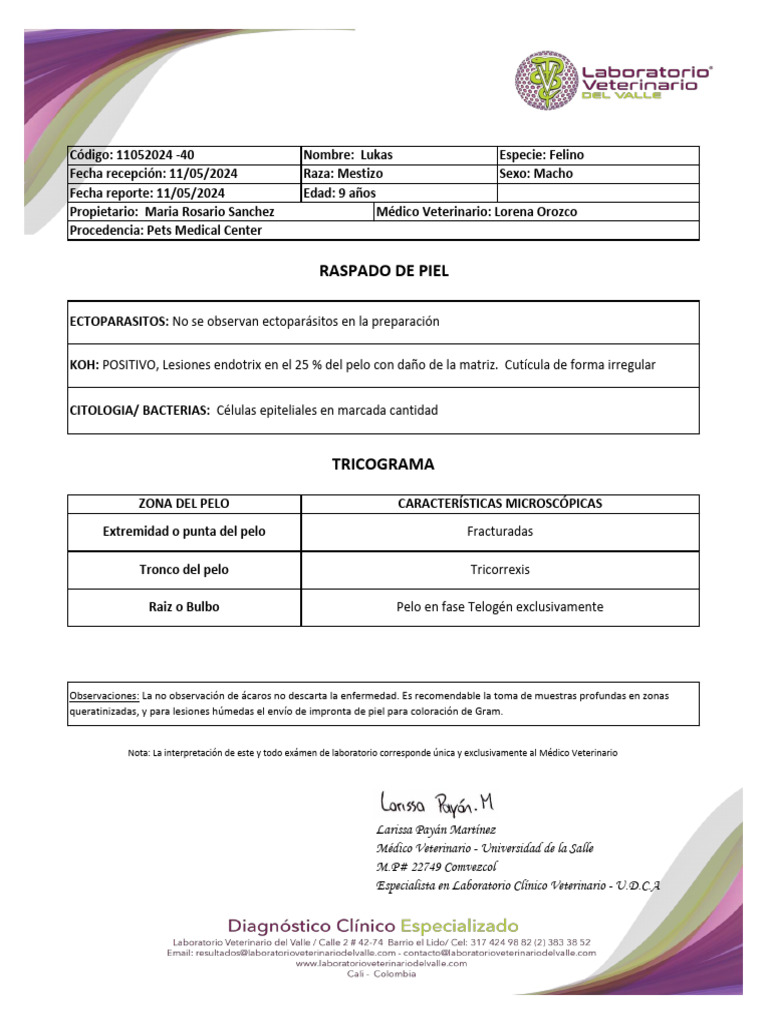 Raspado de Piel Lucas | PDF