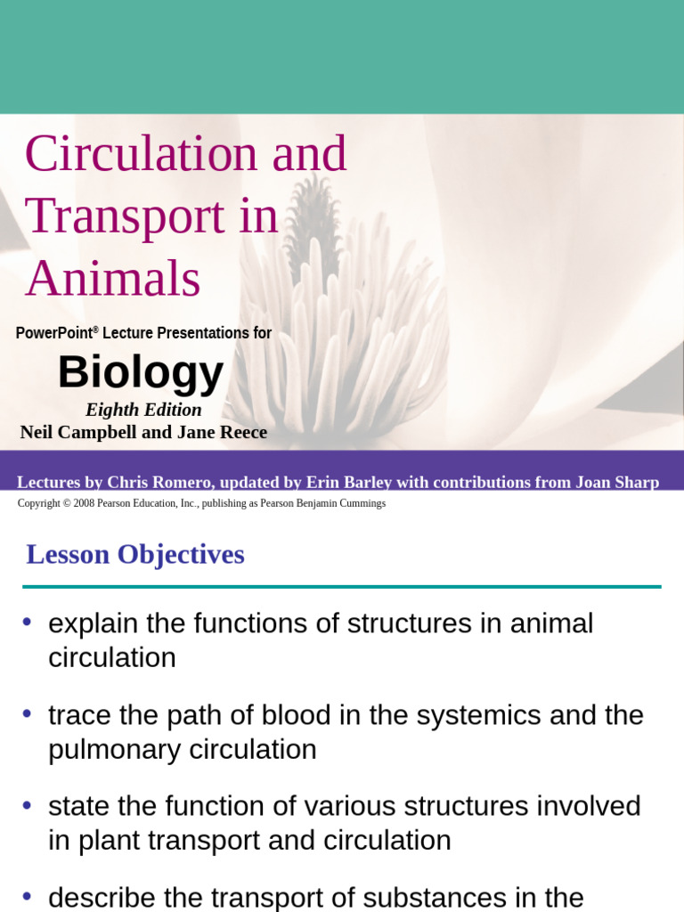 Animal Transport Systems (Student Copy) | PDF | Atrium (Heart) | Heart
