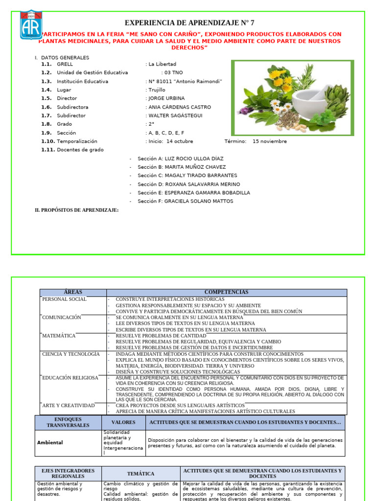 EXPERIENCIA DE APRENDIZAJE N° 7-2024 (3) | PDF | Evaluación | Aprendizaje