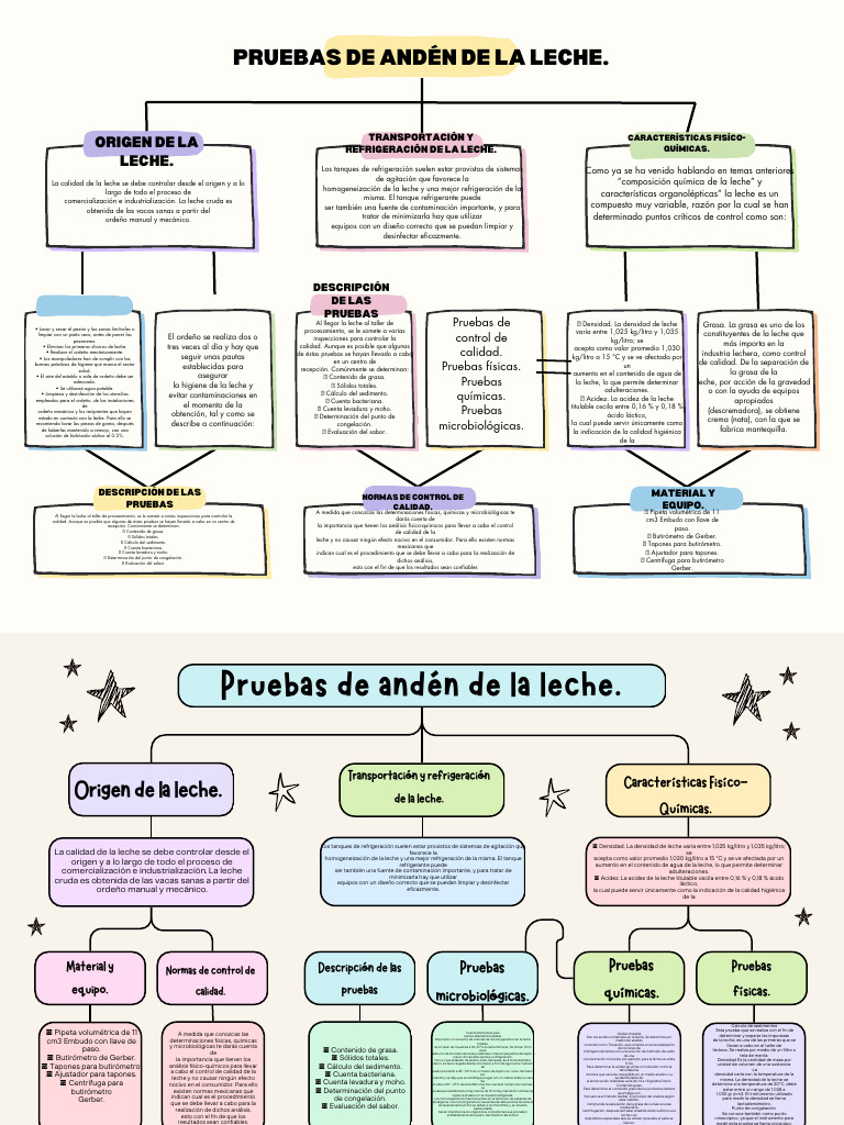Purple Creative Concept Map Chart_20241015_182909_0000 | PDF | Leche | Valoración