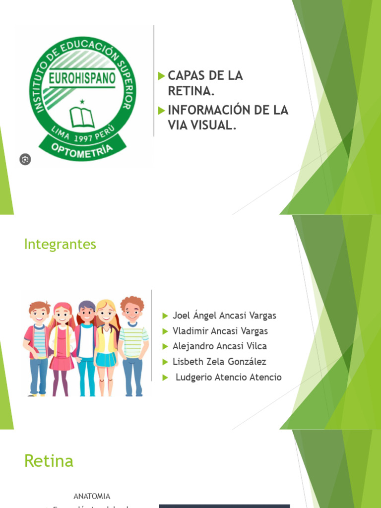 10 capas de la retina | PDF | Percepción visual | Retina