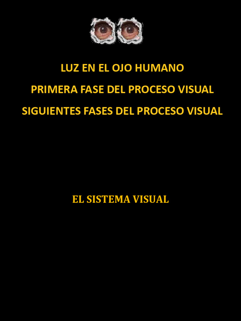 Clase 9 Luz en El Ojo Primera Fase Del Proceso Visual | PDF ...