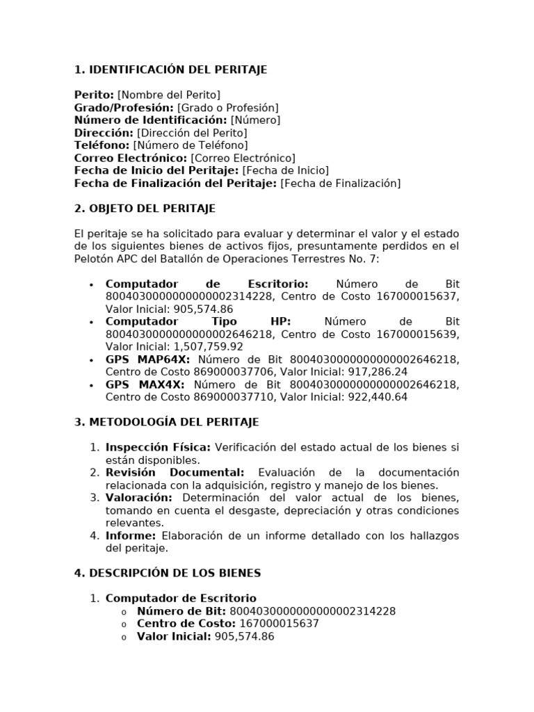 Peritaje | PDF | Auditoría | Informática