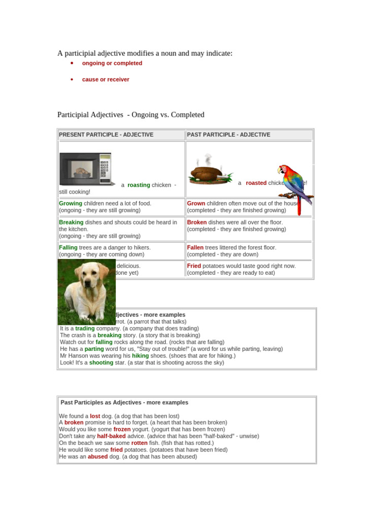 Participle Adjective Exercises | PDF | Adjective | Language Mechanics