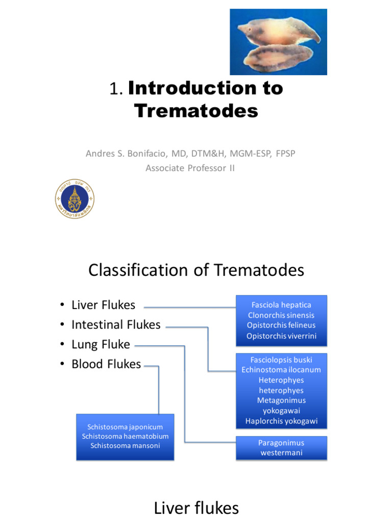 13 Introduction To Trematodes | PDF | Parasitism | Medical Specialties