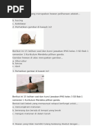 30 Latihan Soal IPAS Kelas 3 SD Bab 1 Semester 1 Kurikulum Merdeka Mari Kenali Hewan Di Sekitar ...