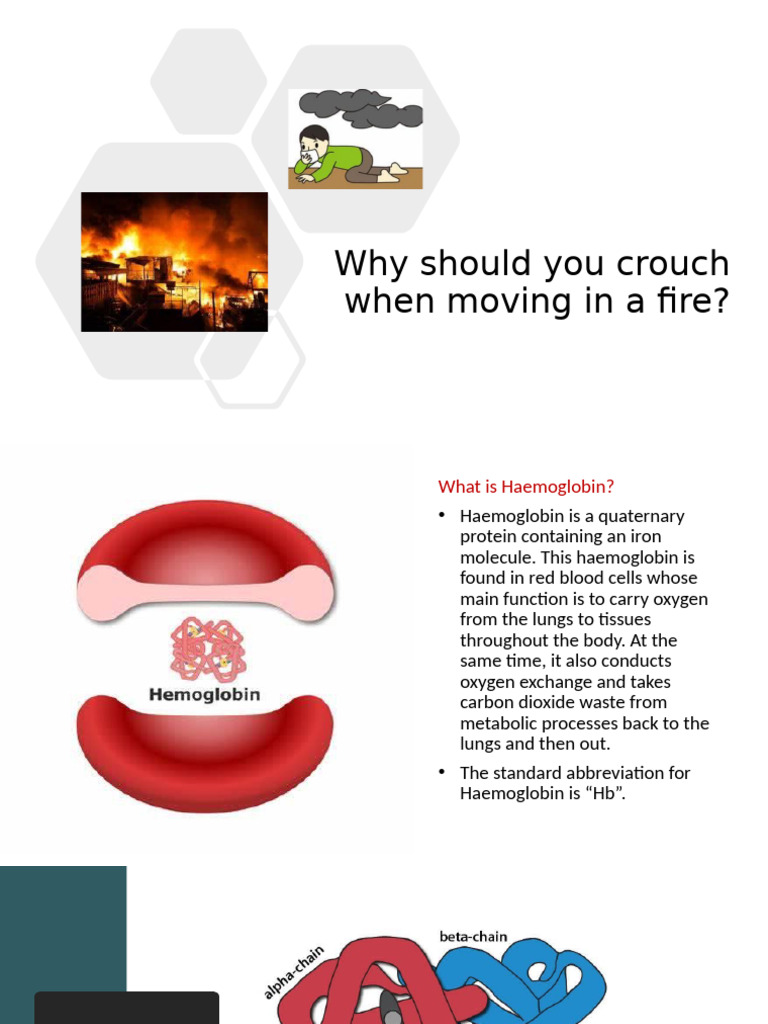 Why Should You Crouch When Moving in A | PDF
