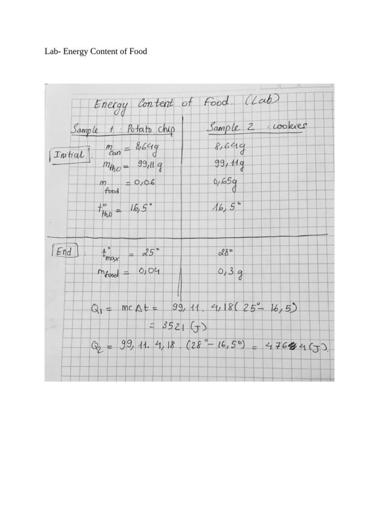 Lab - Energy Content of Food | PDF