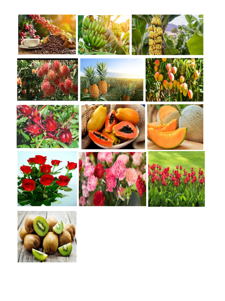 Graficas Dilan | PDF