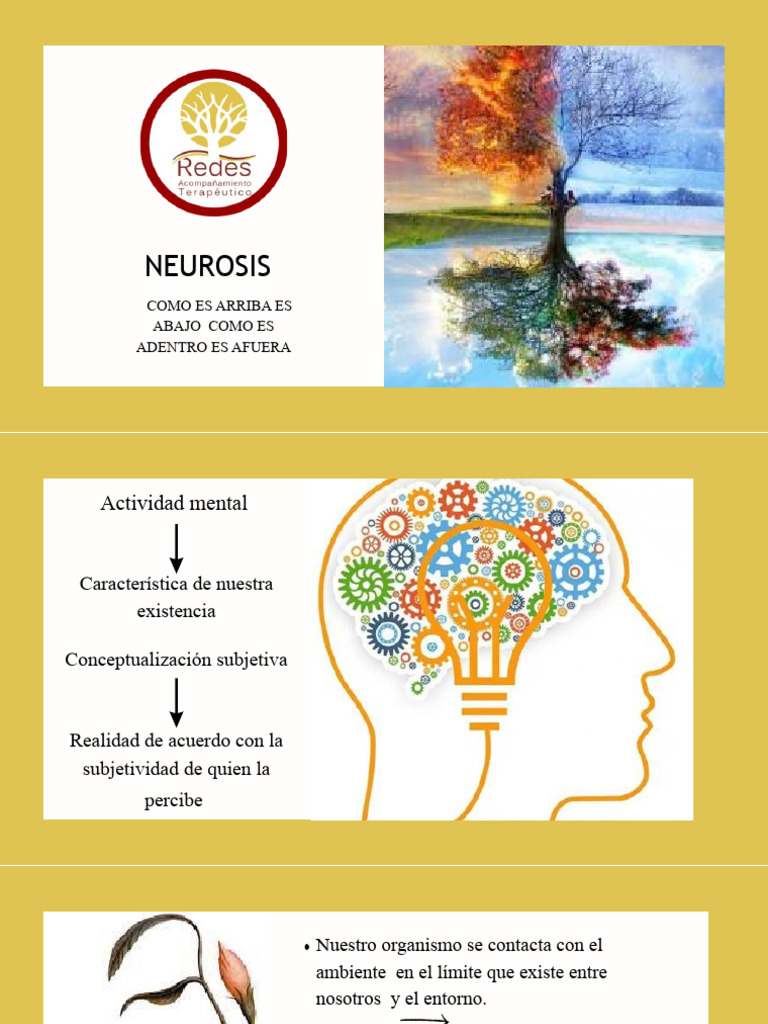NEUROSIS | PDF | Desorden obsesivo compulsivo | Depresión (estado de ánimo)