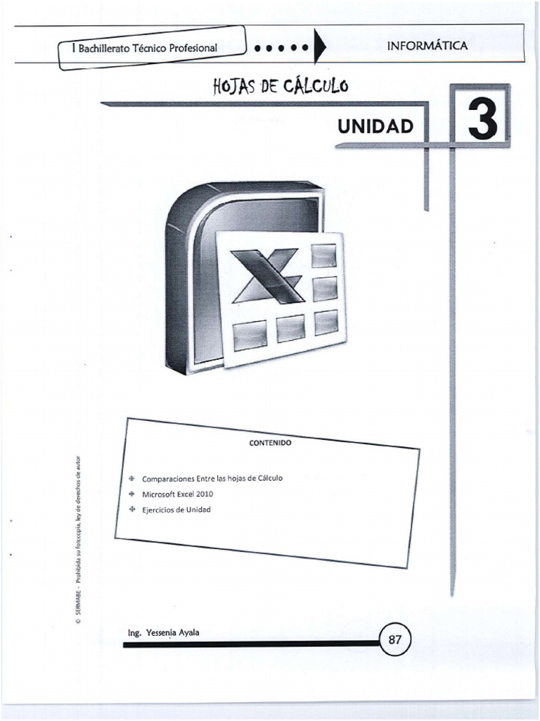 Excel Decimo Grado | PDF