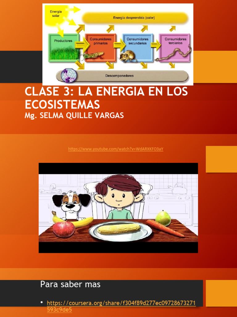 Energía en Ecosistemas: Cadenas y Pirámides | PDF | Biomasa (Ecología ...