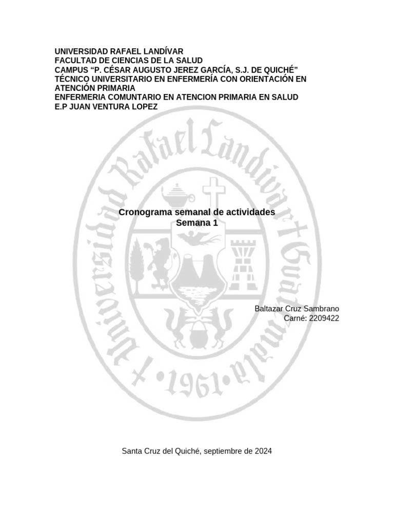 Modelo de Caratula | PDF