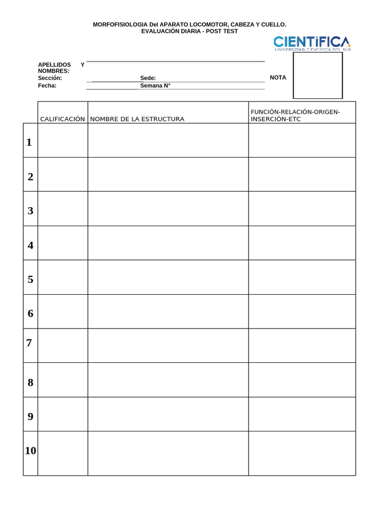 Formato Post Test | PDF