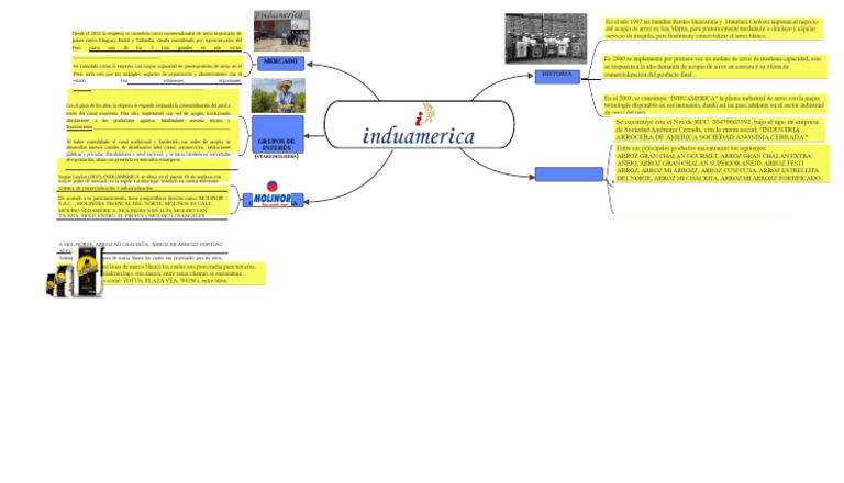 Mapamental Porrasbustamante Miltomiguel | PDF | Business | Economias