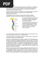 Escala ASIA: Clasificación de Lesiones Medulares | PDF