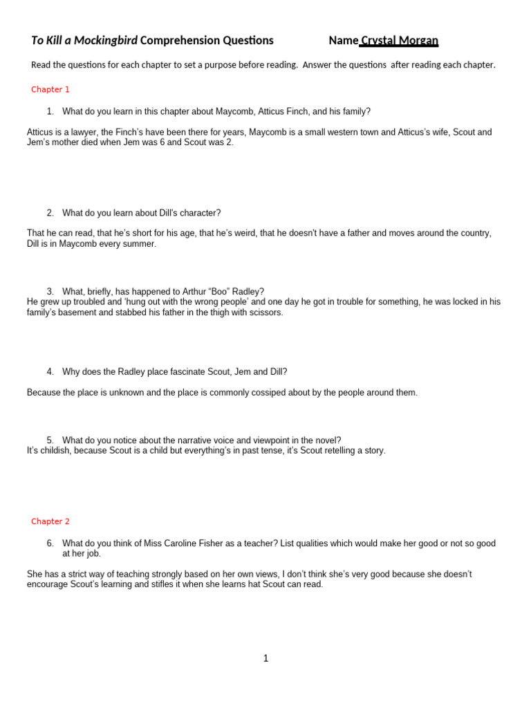 To Kill a Mockingbird Study Guide | PDF | To Kill A Mockingbird