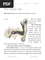 Label The Ear | PDF