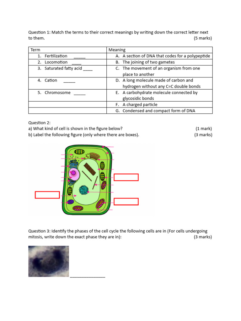 BIO 103 practice mid | PDF | Cell (Biology) | Biochemistry