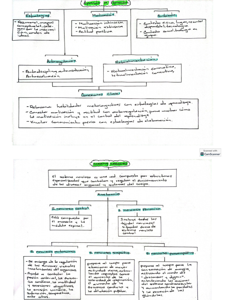 Castillo Rivera Luis Miguel | PDF