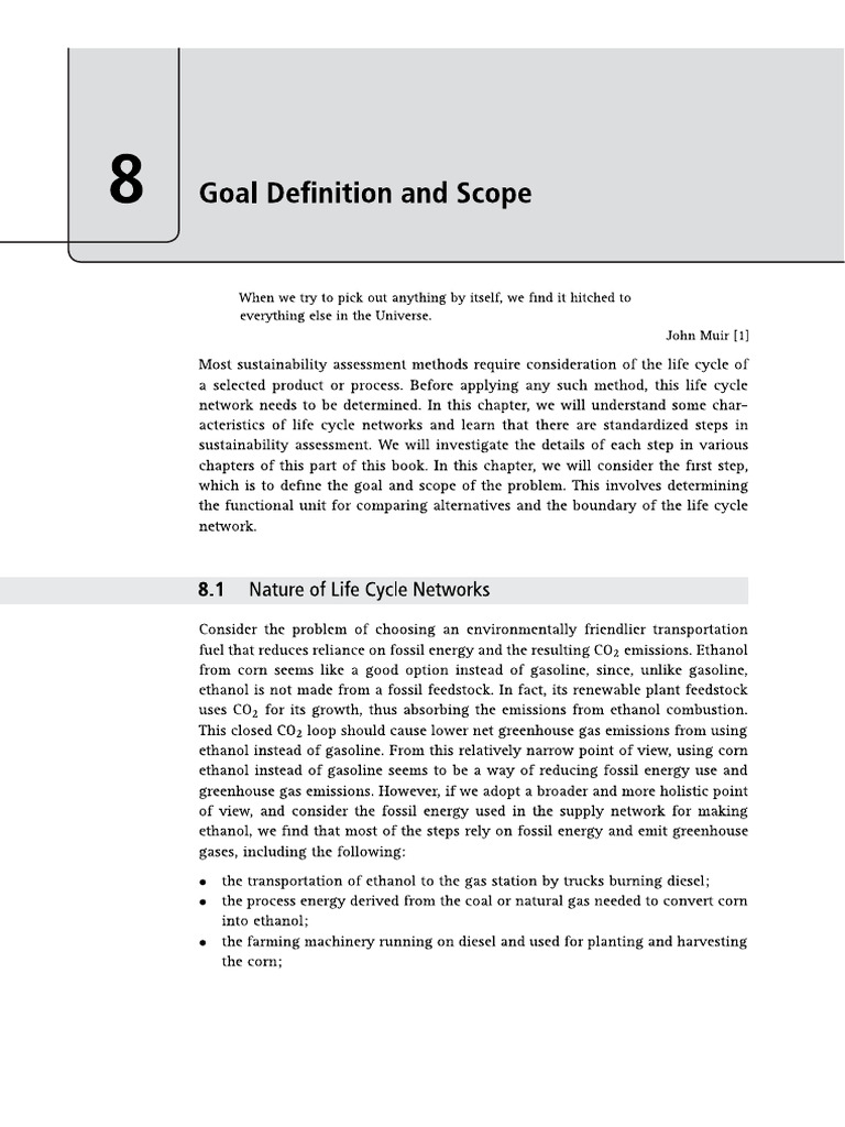 8-Goal Definition and Scope of SA | PDF