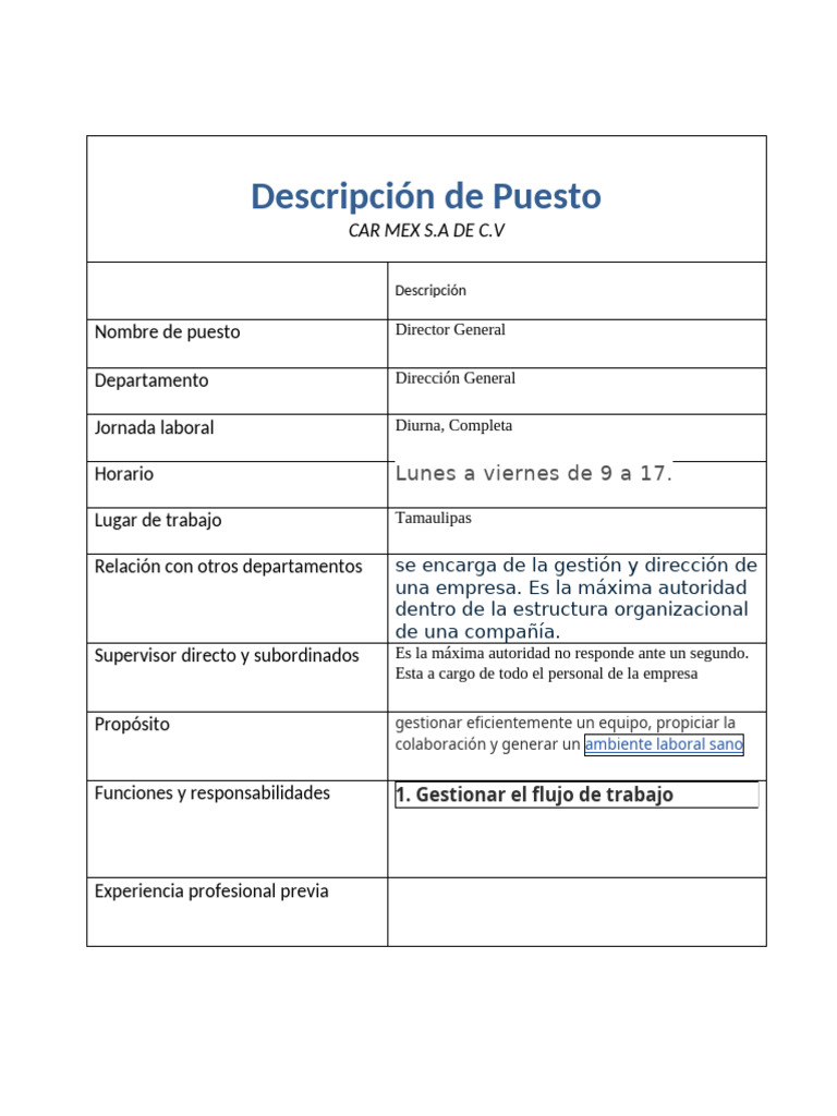 Descripción del Puesto: Director General | PDF | Negocios económicos ...