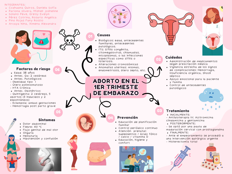 MAPA SEMANA 5 Embarazo | PDF | Aborto | El embarazo