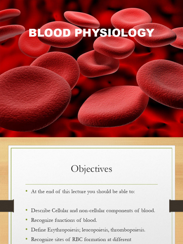 Lec. 4 Blood Physiology | PDF | Red Blood Cell | Blood
