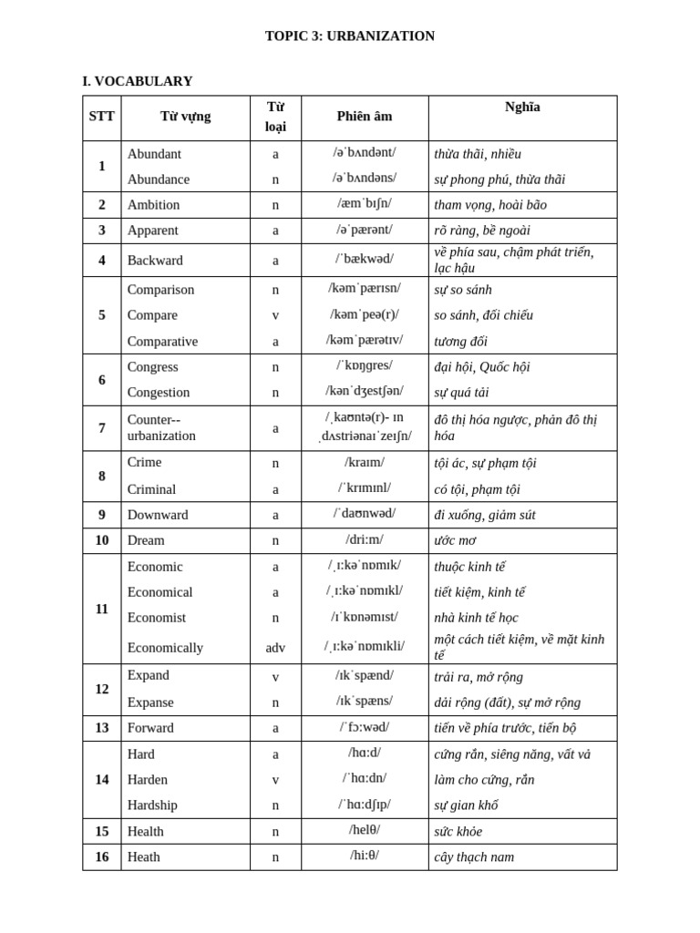 Topic 3. Urbanization. Vocab | PDF