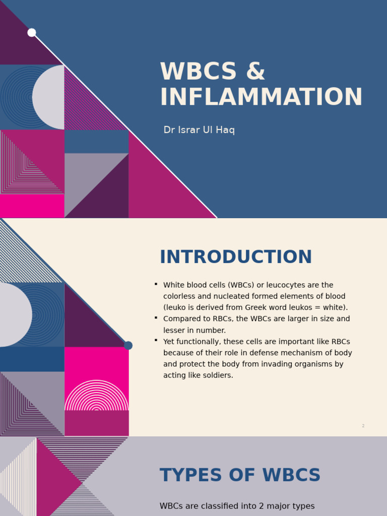 WBCs and Inflammation Overview | PDF | White Blood Cell | Medical ...