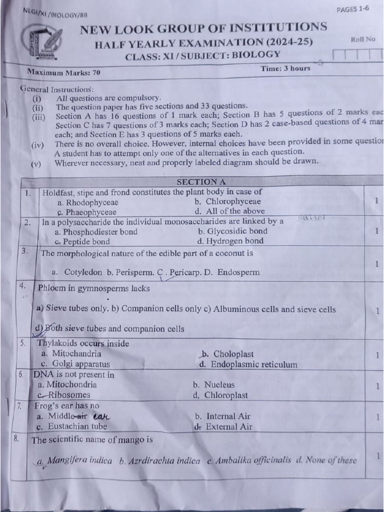 Bio Hy 2024-25 | PDF