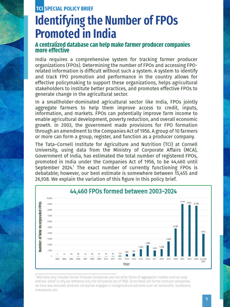 TCI FPO Numbers Policy Brief | PDF | Smallholding