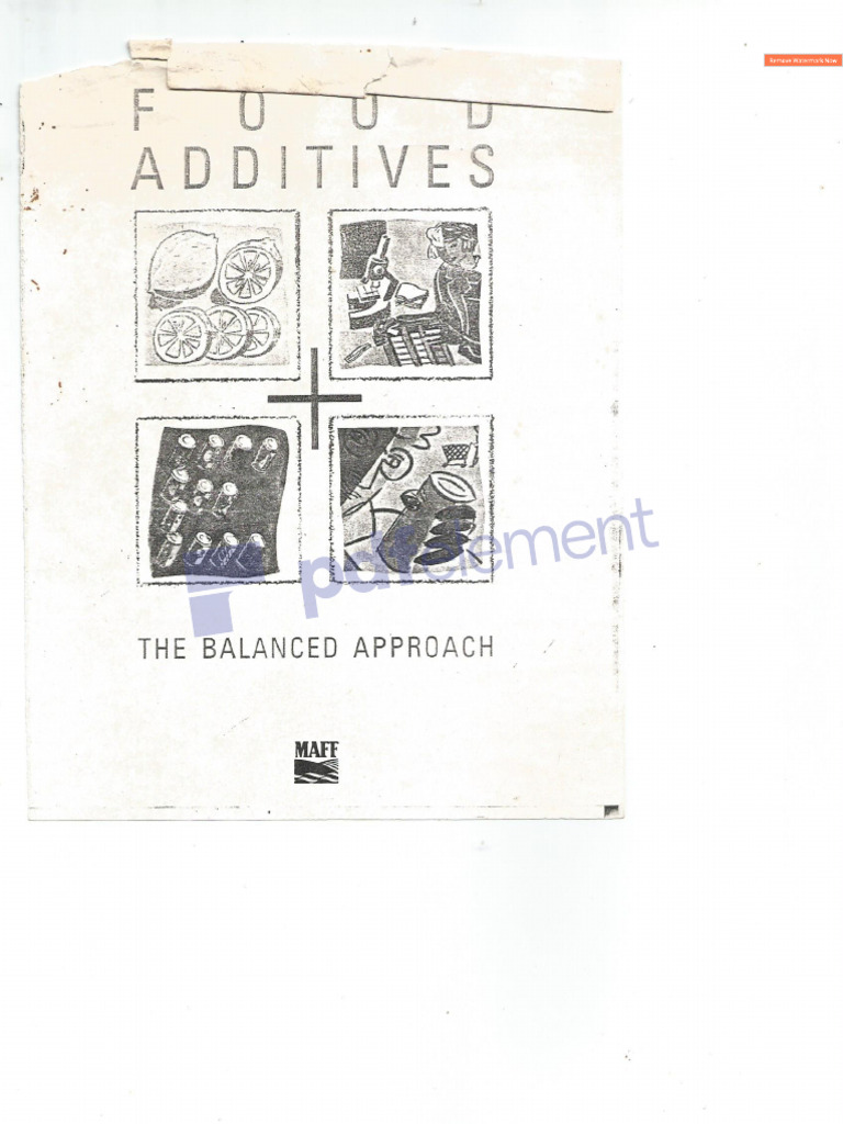 Food Additives HandOut Combo | PDF