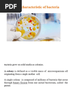 Bacterial Colony Morphology Guide | PDF | Organisms | Nature