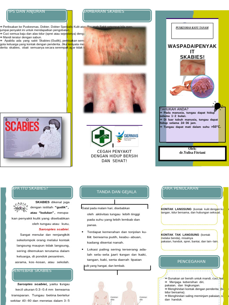Leaflet Scabies Dikonversi | PDF