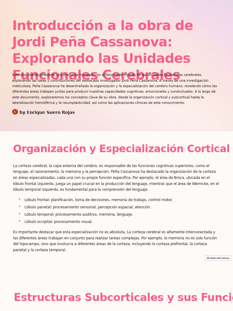 Clase 6. Unidades Funcionales de j.p.c. (1) | PDF | Cerebro | Corteza cerebral