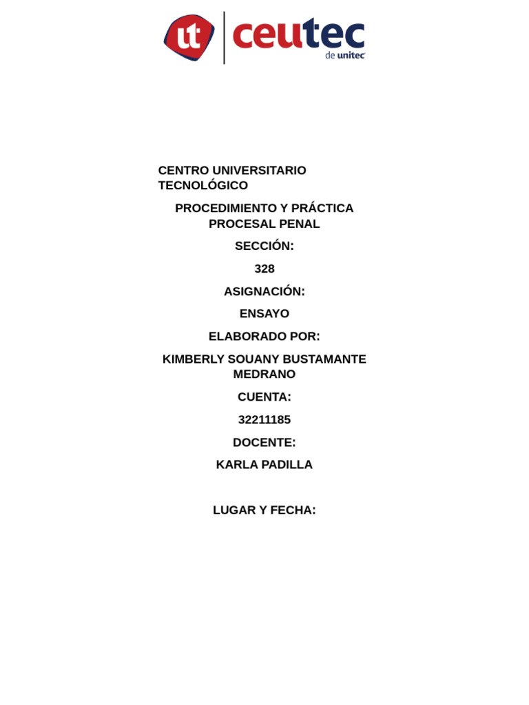 Ensayo DIDT | PDF | Informática | Tecnología