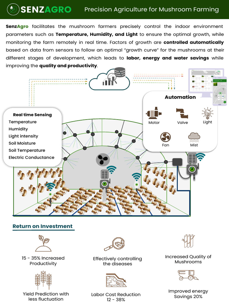 Mushroom One Pager | PDF