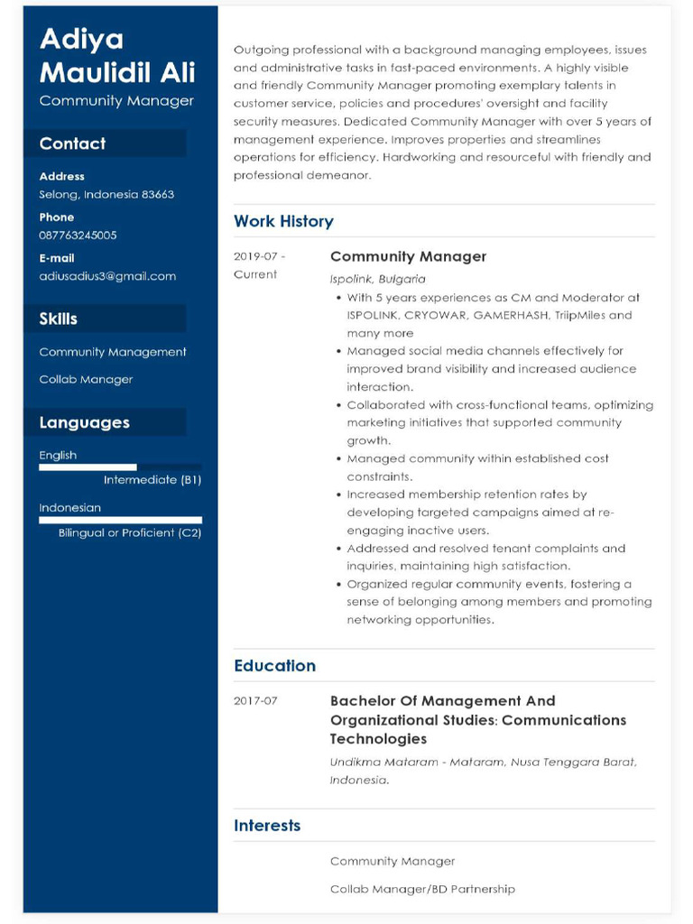 CV Adiya New | PDF