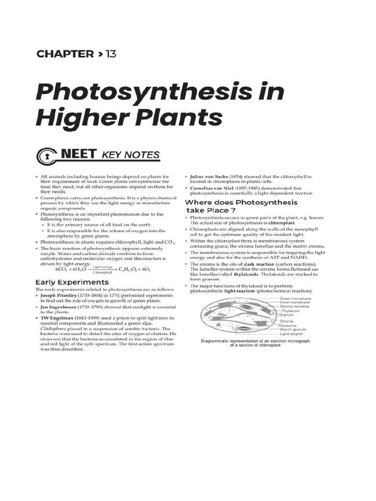 PHOTOSYNTHESIS | PDF