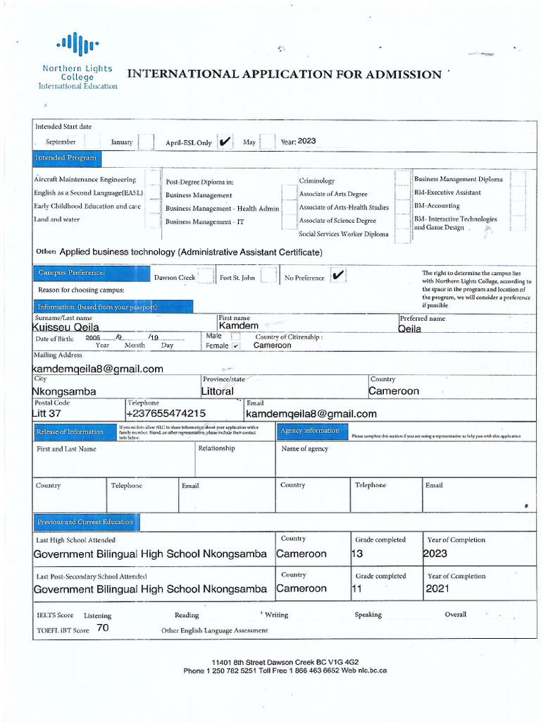 The Application From | PDF