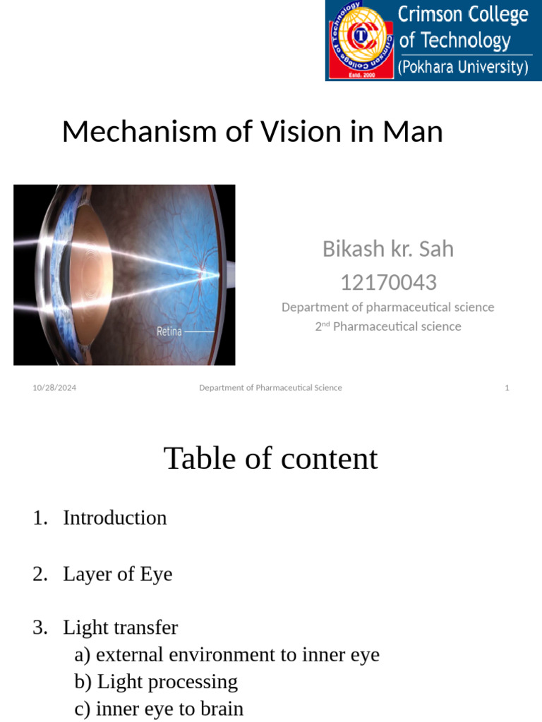 Mechanism of Vision in Man | PDF | Eye | Cell Biology