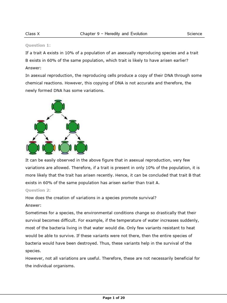 Science Class 10 Chapter 10 Notes | PDF | Reproduction | Zygosity